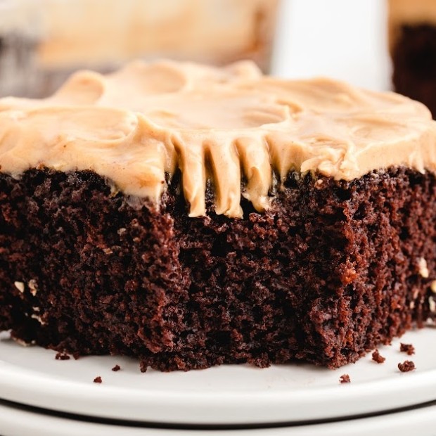 Chocolate Peanut Butter Crazy Cake | Dessert | The Best Blog Recipes