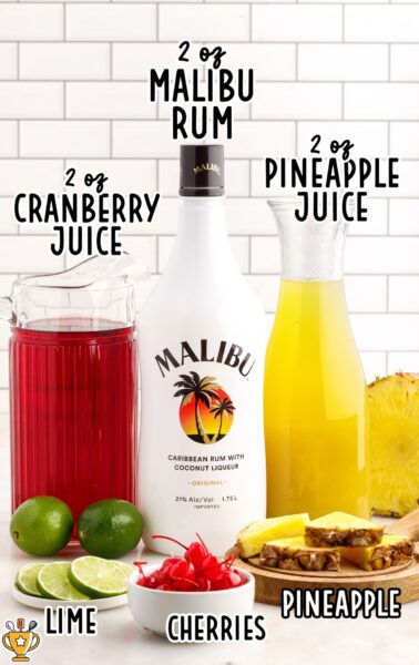 Malibu Cocktail | Drinks | The Best Blog Recipes