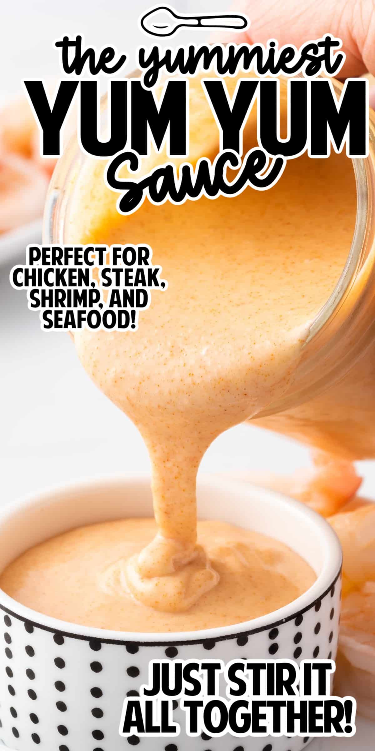 Yum Yum Sauce Dip | Condiments | The Best Blog Recipes