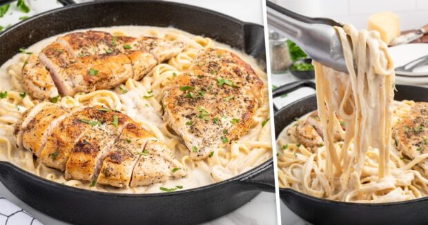 Chicken Alfredo Recipe - The Best Blog Recipes