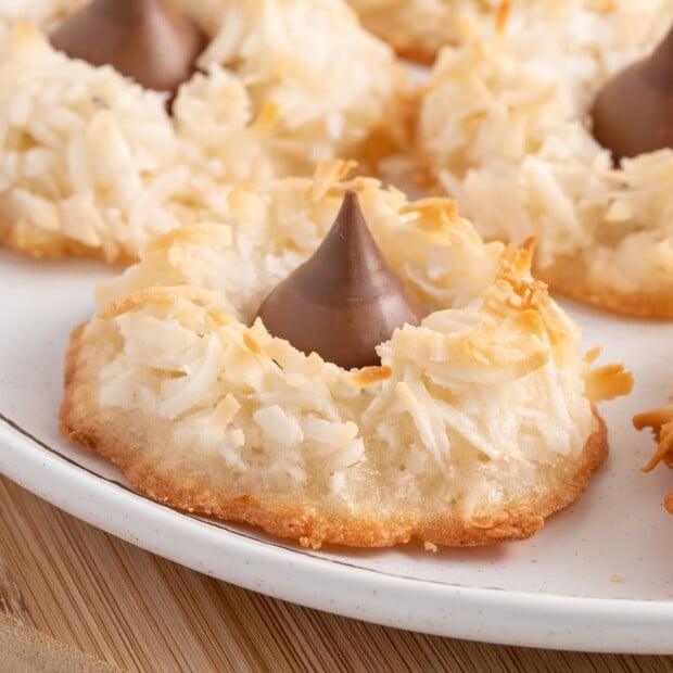 Coconut Blossoms | Desserts | The Best Blog Recipes