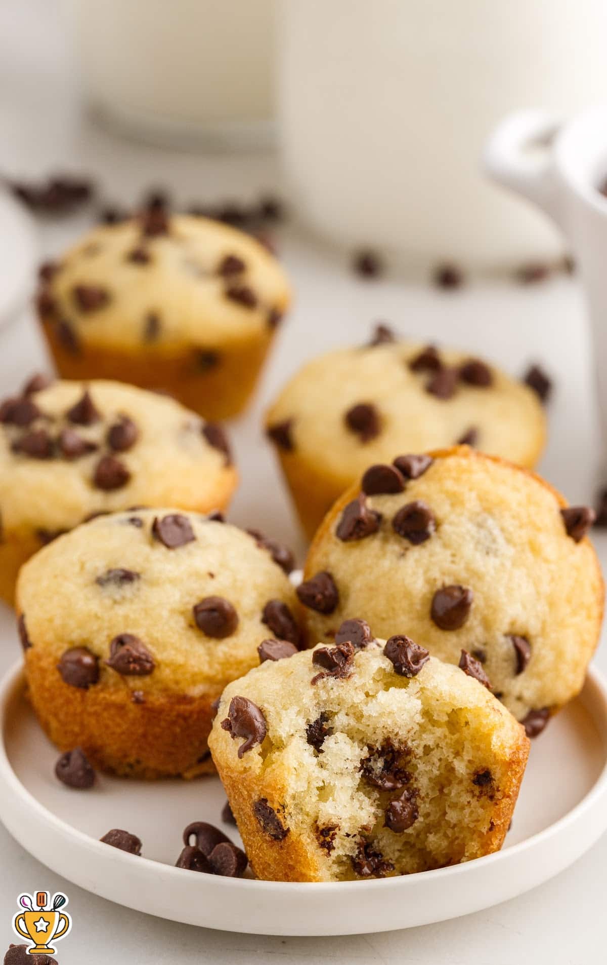 Mini Chocolate Chip Muffins | Breakfast | The Best Blog Recipes