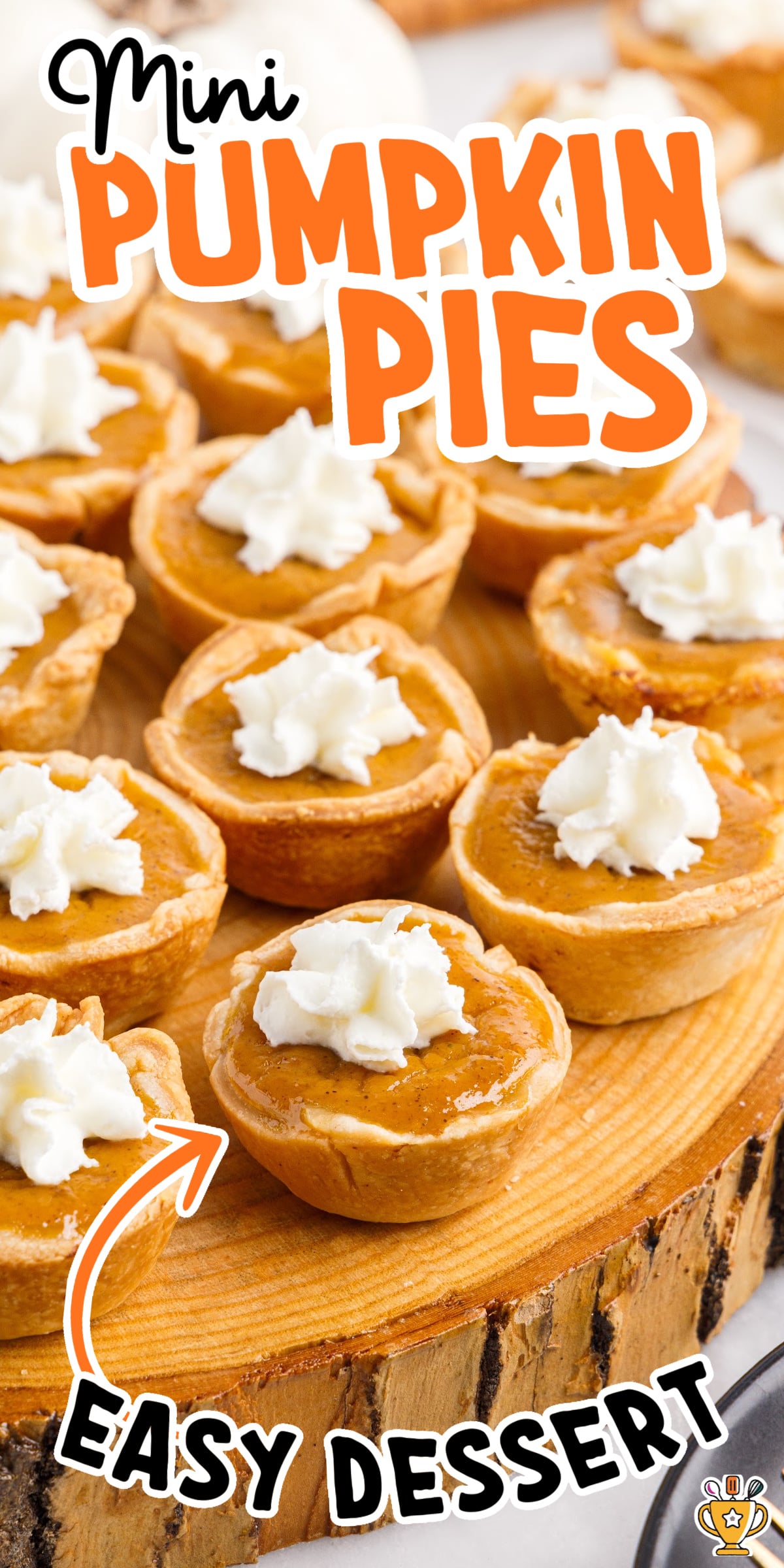 Mini Pumpkin Pies | Dessert | The Best Blog Recipes