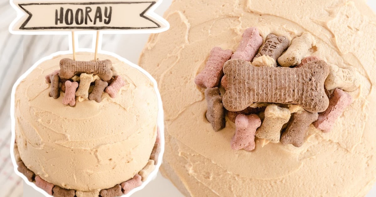 Dog Birthday Cake | Dog Treats | The Best Blog Recipes