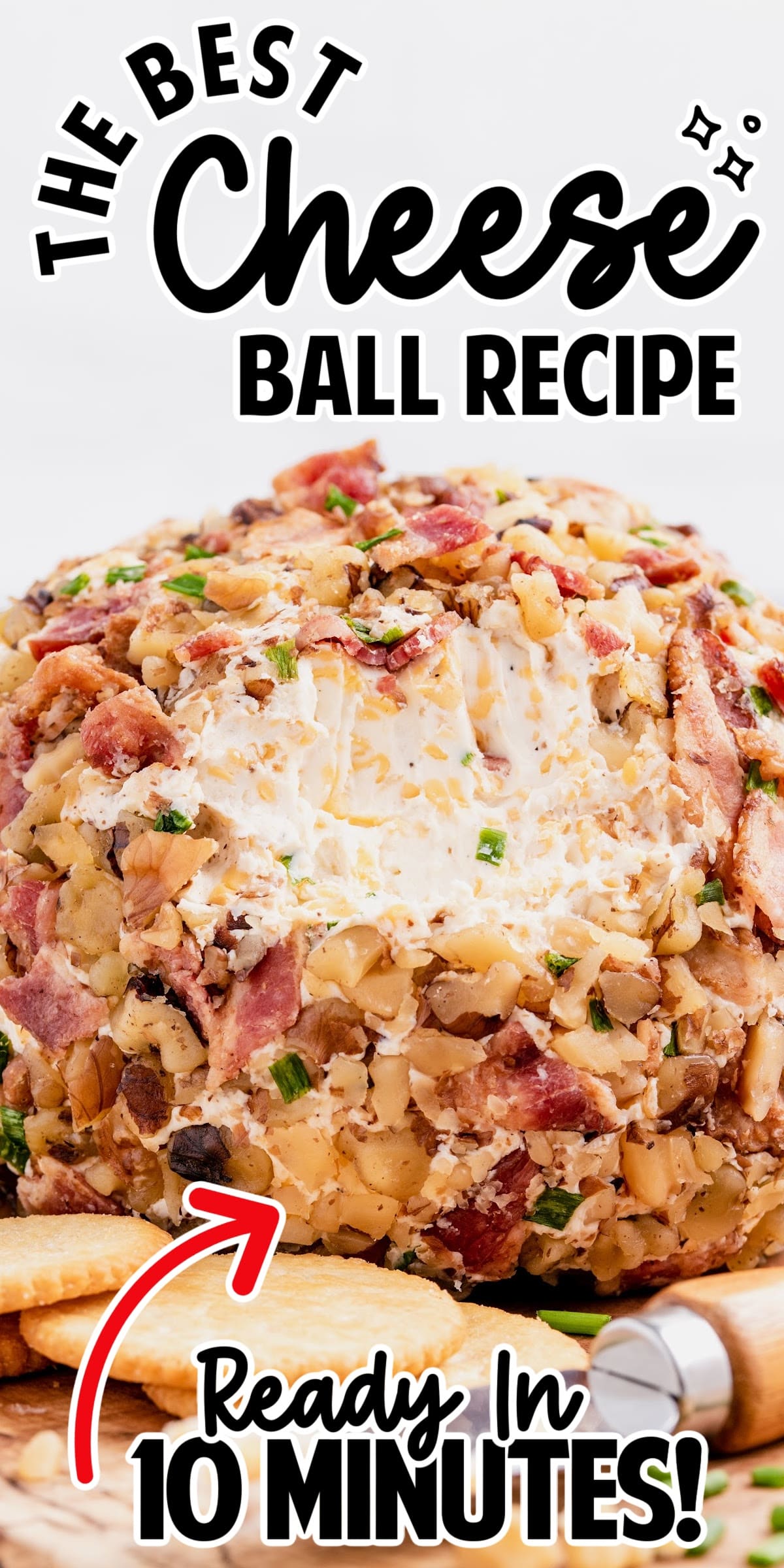 Cheese Ball Recipe | Appetizer | The Best Blog Recipes