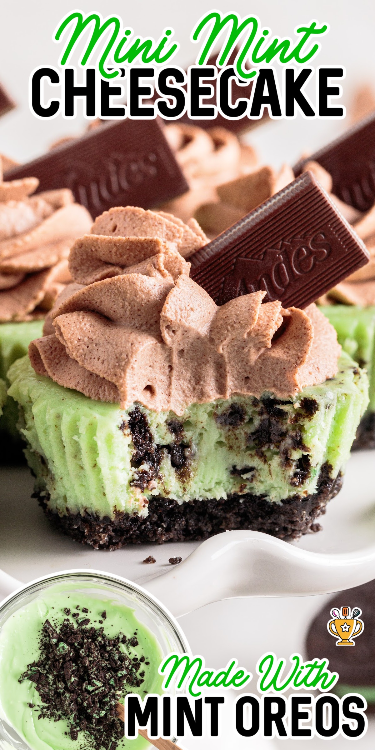 Mini Mint Cheesecake | Dessert | The Best Blog Recipes