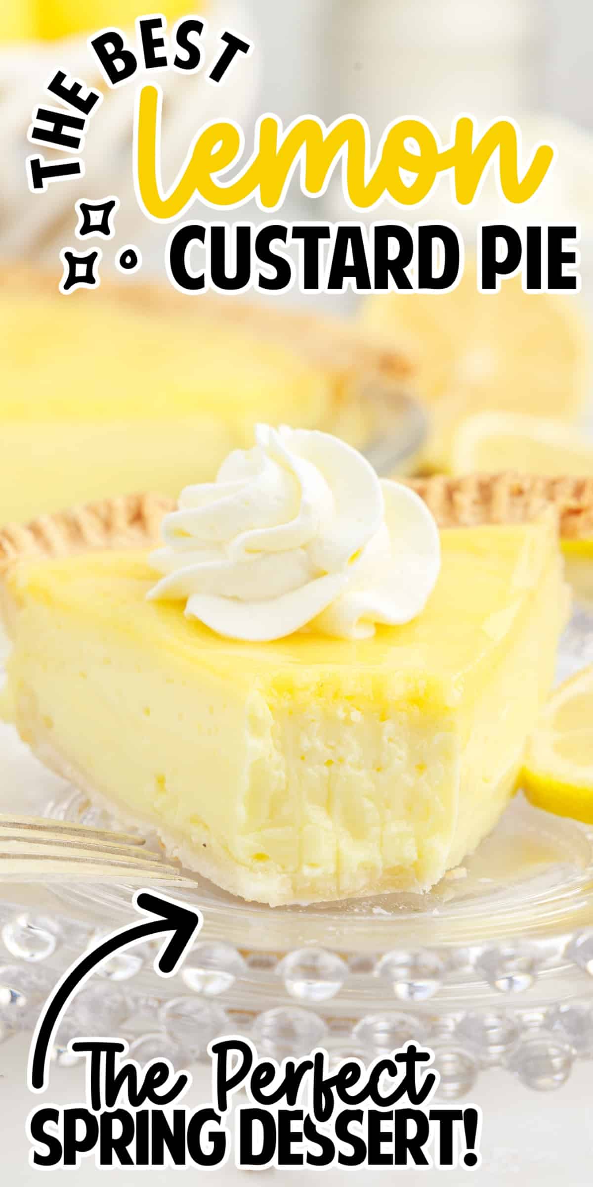 Lemon Custard Pie | Dessert | The Best Blog Recipes