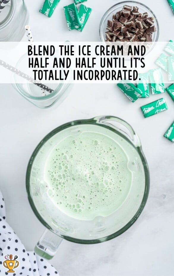 Mint Chocolate Chip Milkshake | Drinks