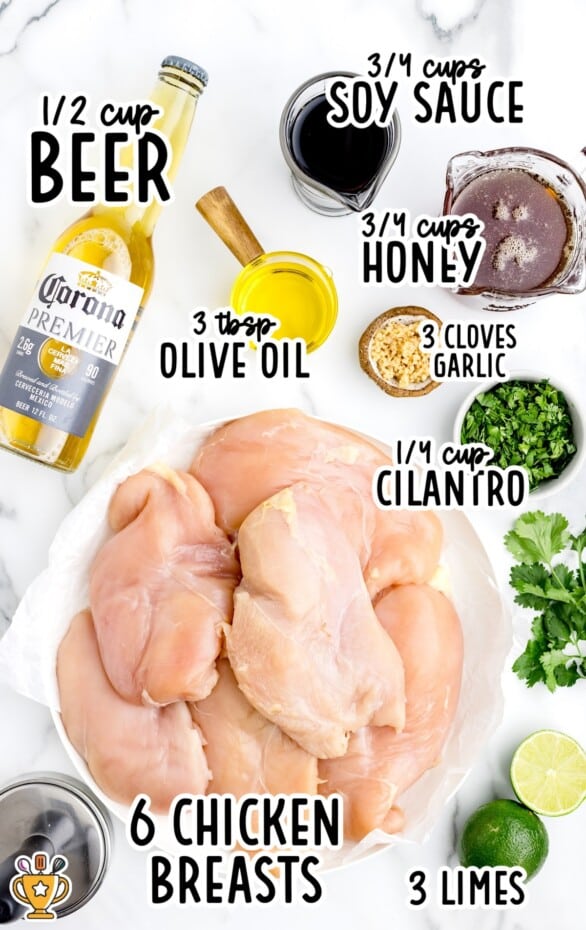 Chicken with Beer Marinade | Chicken Dinner Ideas