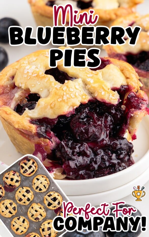 Mini Blueberry Pies | Dessert | The Best Blog Recipes