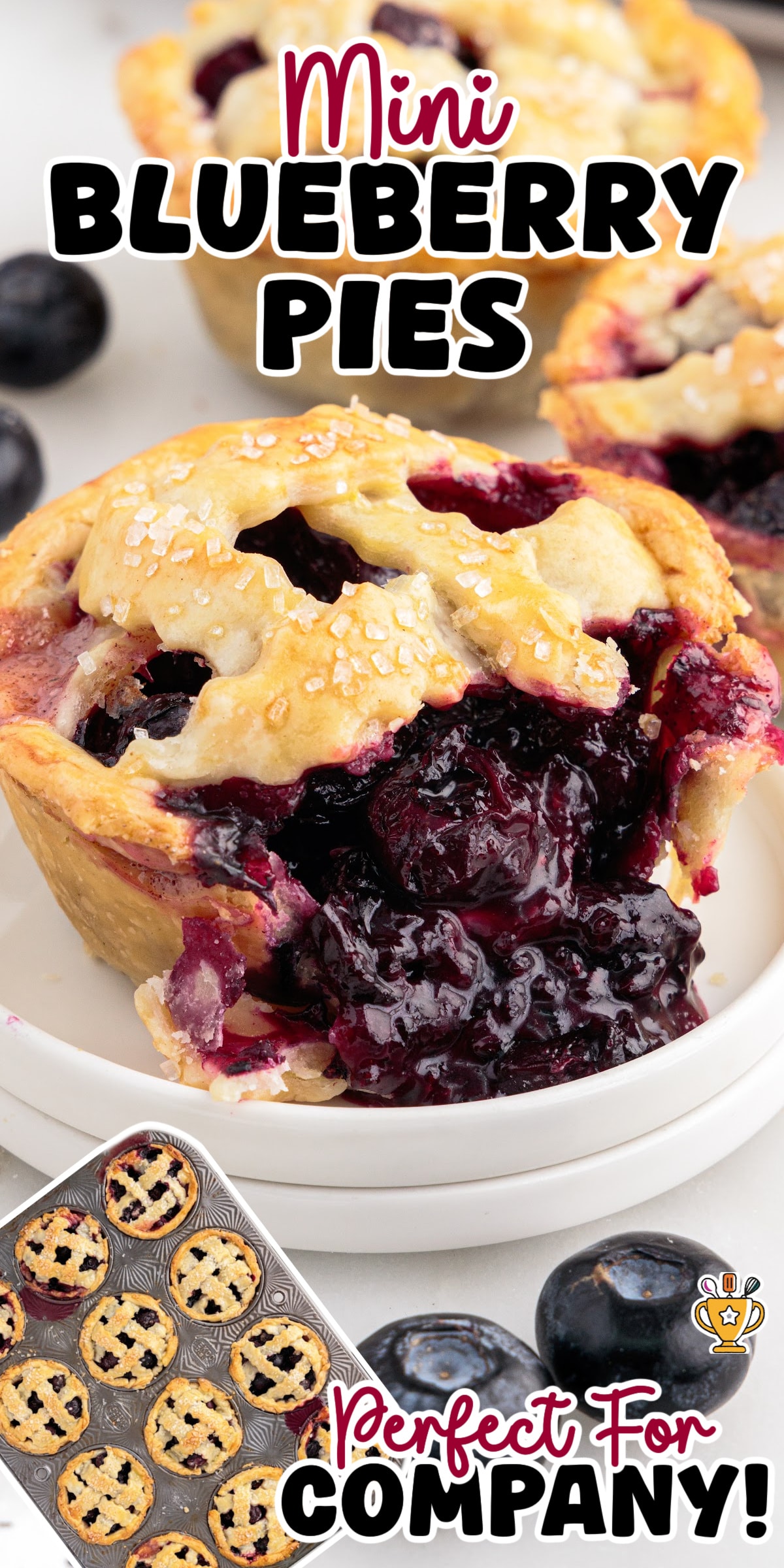 Mini Blueberry Pies | Dessert | The Best Blog Recipes