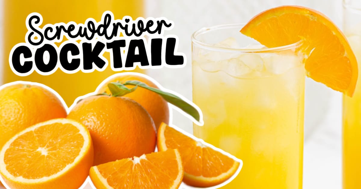 Screwdriver Cocktail | Drinks | The Best Blog Recipes
