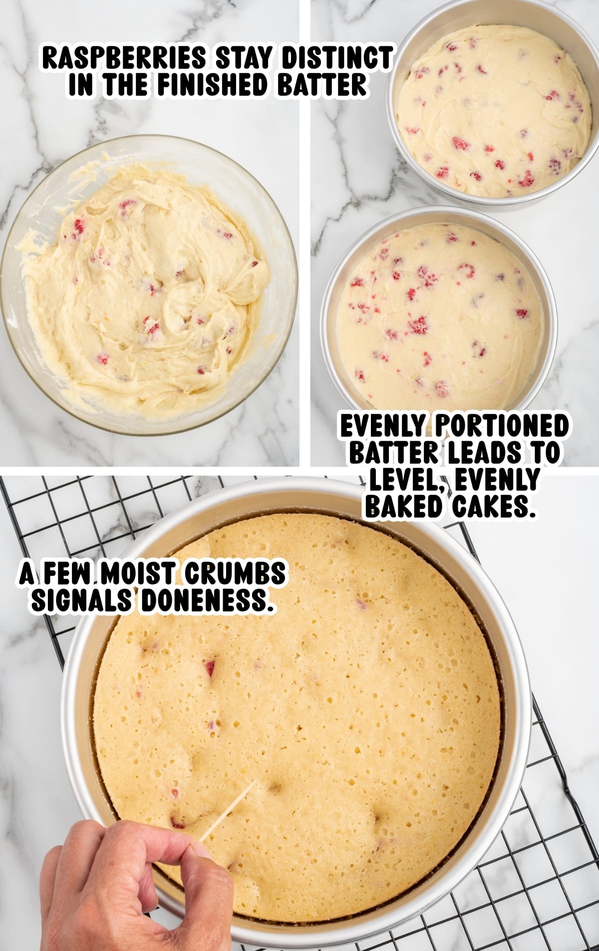 Lemon Raspberry Cake | Dessert | The Best Blog Recipes